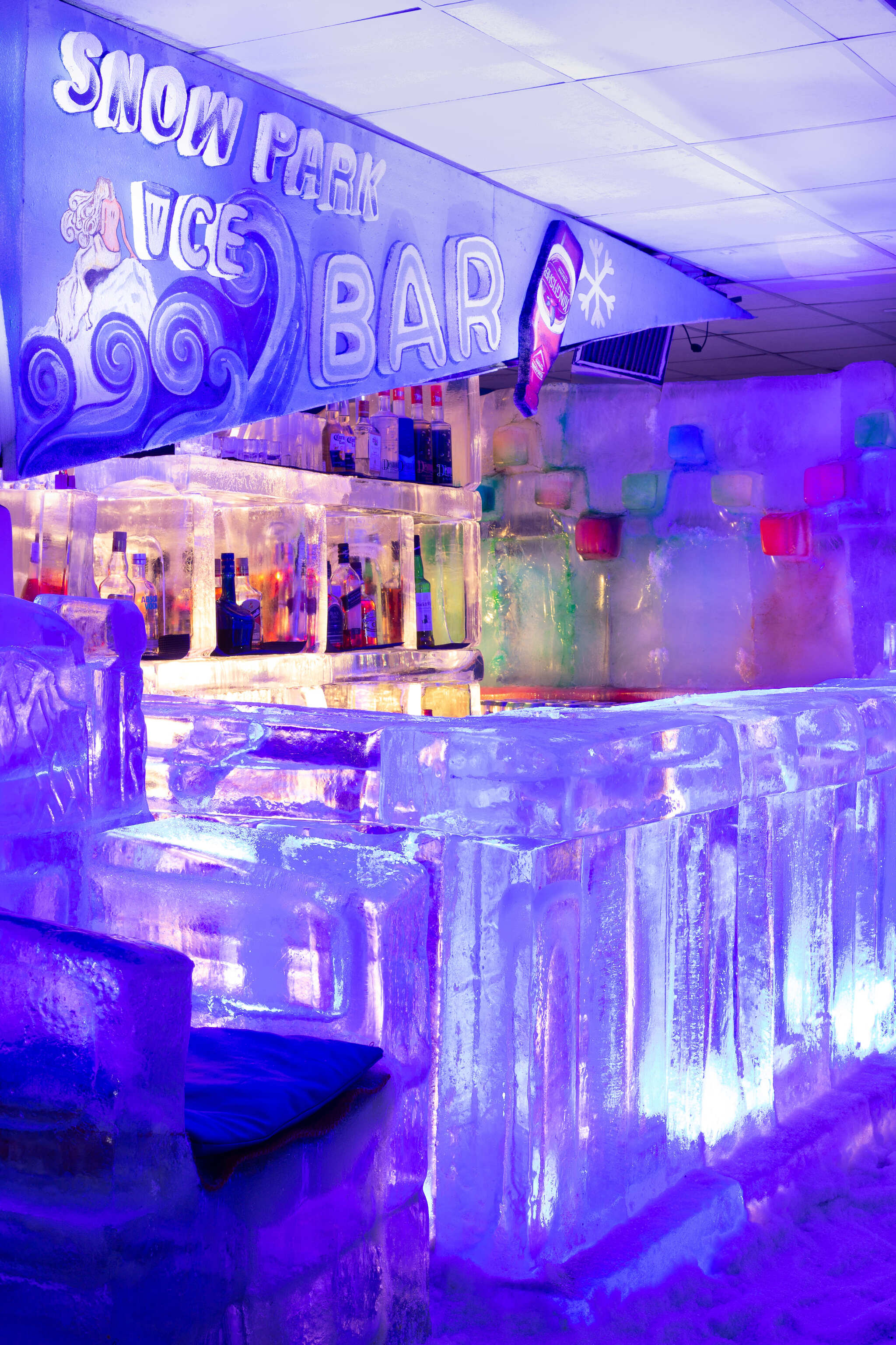 Gallery - Snow Park Goa | Experience the Magic in Pictures